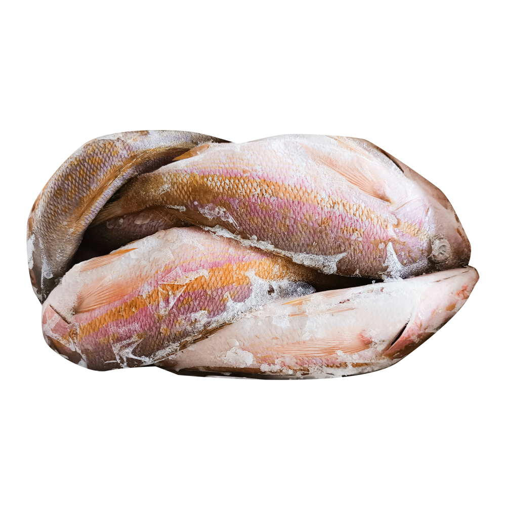 toyo de pescado bajonao de 4 (lb) - Analú